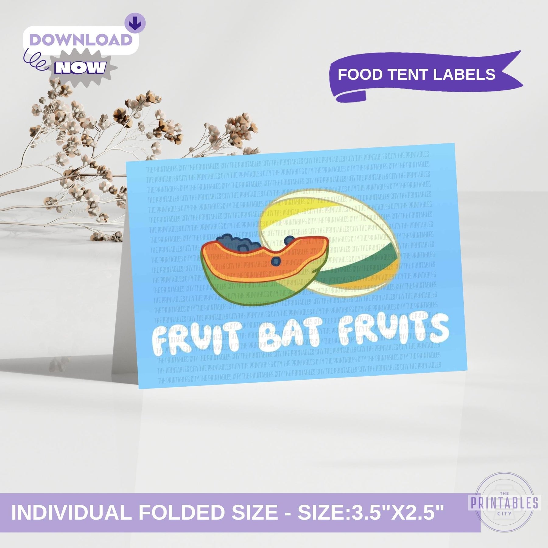 64 Pcs Bluey Place Cards, Bluey Food Tent Labels – The Printables City