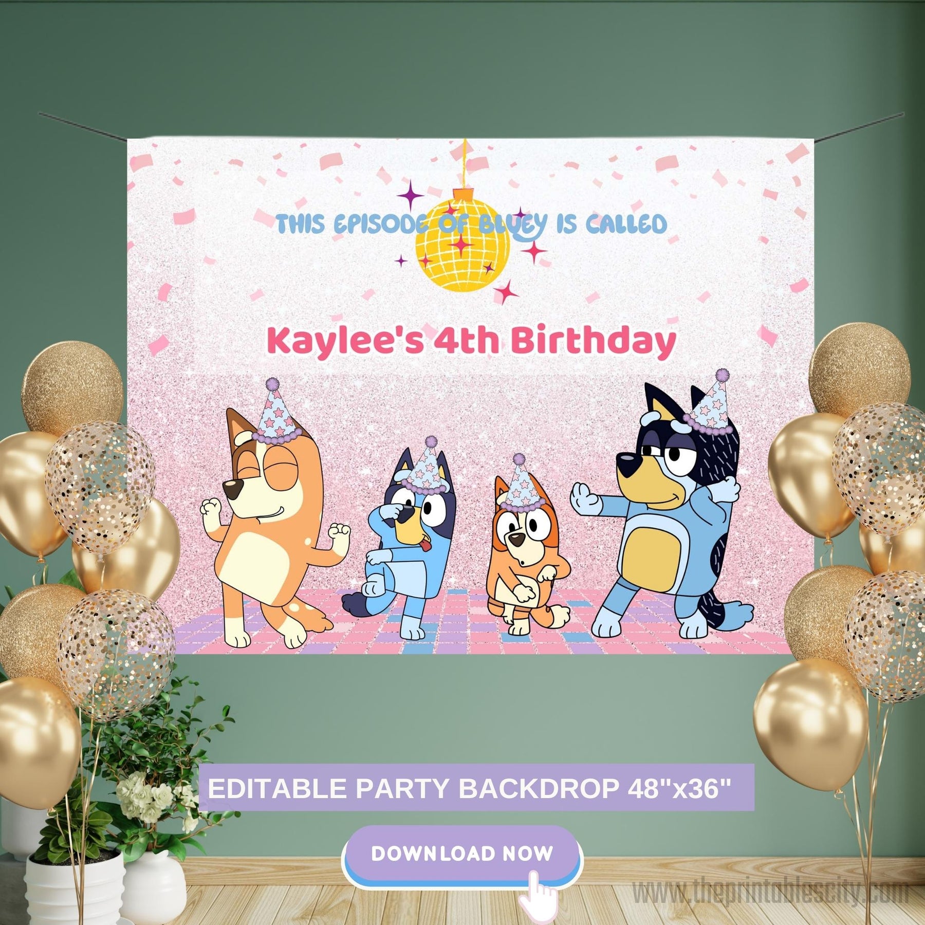 Editable Bluey Birthday Backdrop Banner – The Printables City