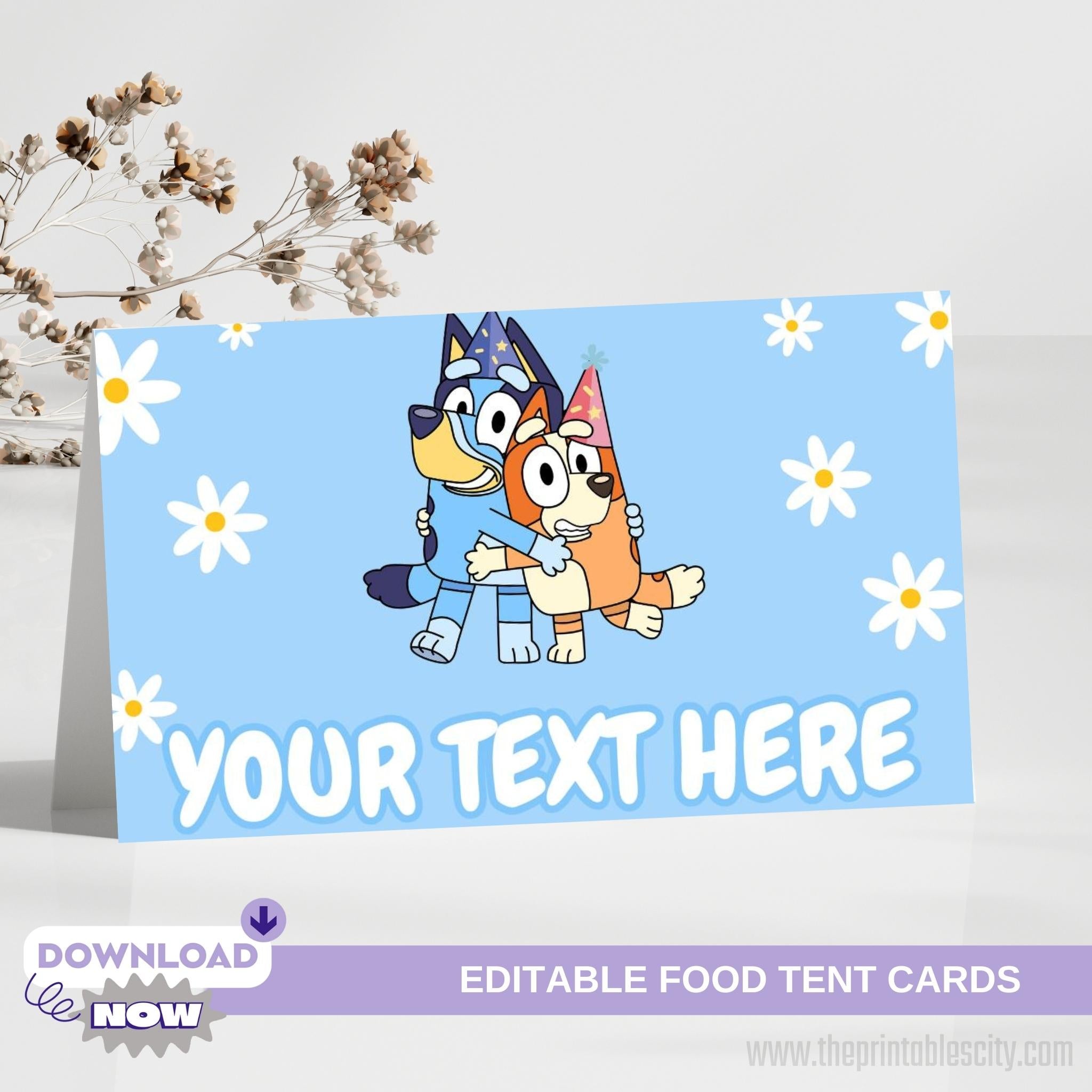 Editable Bluey Place Cards - Bluey Birthday – The Printables City